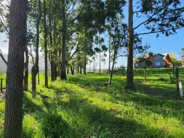Sítio / Chácara para Venda em Maquiné/RS Morro Alto