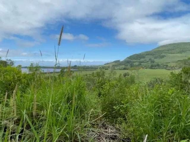 Sítio / Chácara para Venda em Maquiné/RS Zona Rural 1 Quartos