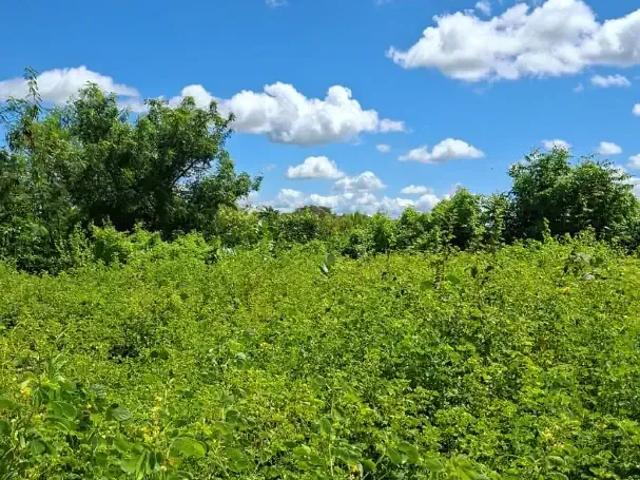 Sítio / Chácara para Venda em Maranguape/CE Área Rural de Maranguape