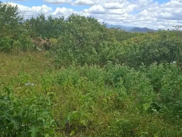 Sítio / Chácara para Venda em Maranguape/CE Ladeira Grande 2 Quartos