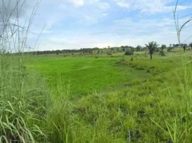 Sítio / Chácara para Venda em Maranhãozinho/MA Zona Rural