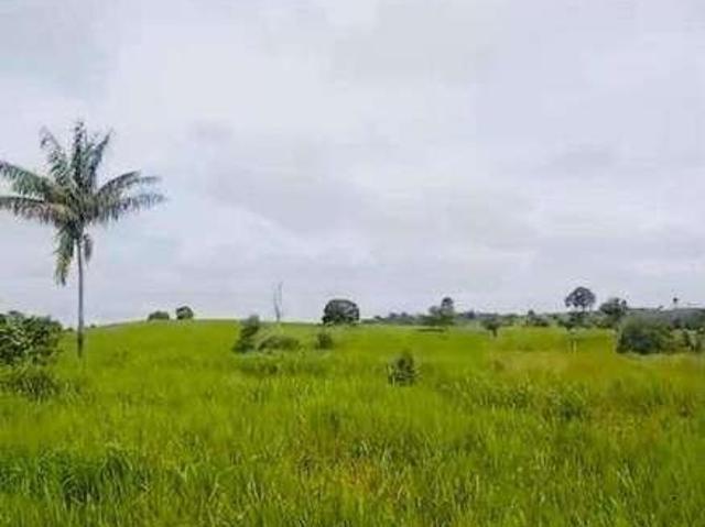 Sítio / Chácara para Venda em Marabá/PA Área Rural de Marabá