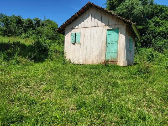 Sítio / Chácara para Venda em Maratá/RS São Pedro do Marata