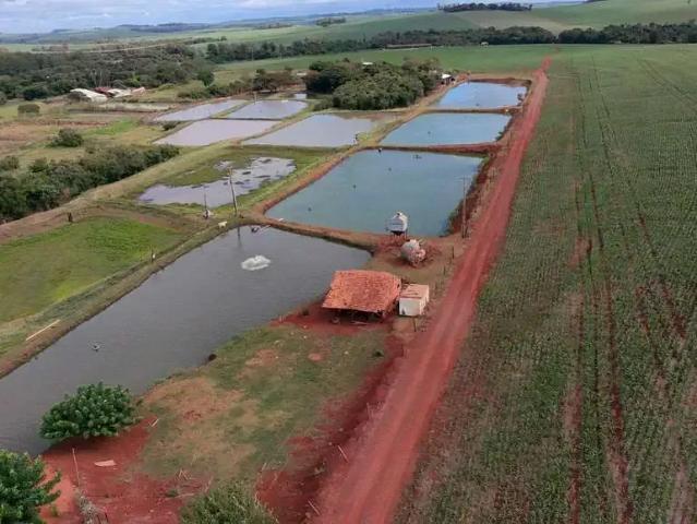 Sítio / Chácara para Venda em Marechal Cândido Rondon/PR Zona Rural
