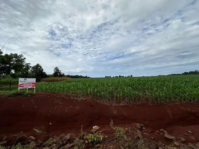 Sítio / Chácara para Venda em Marechal Cândido Rondon/PR Margarida