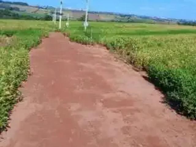 Sítio / Chácara para Venda em Maringá/PR Distrito de Iguatemi Iguatemi