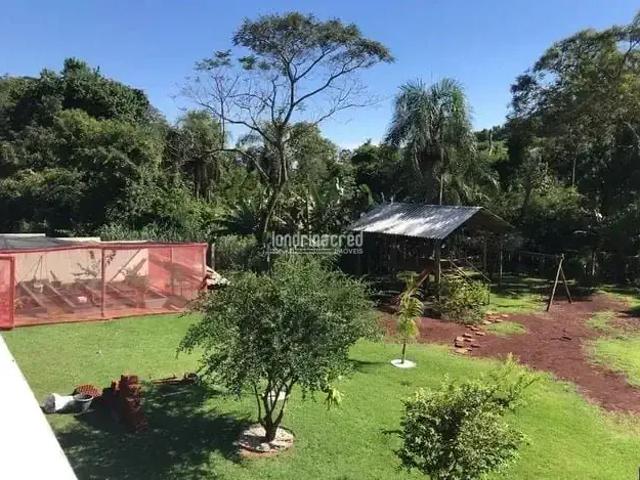 Sítio / Chácara para Venda em Maringá/PR Gleba Ribeirão Sarandi