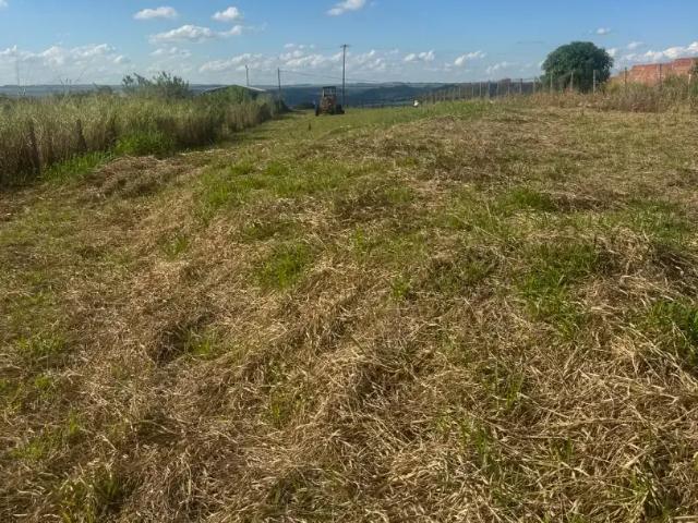 Sítio / Chácara para Venda em Maringá/PR Gleba Ribeirão Sarandi