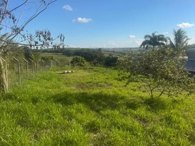 Sítio / Chácara para Venda em Maringá/PR Gleba Ribeirão Sarandi