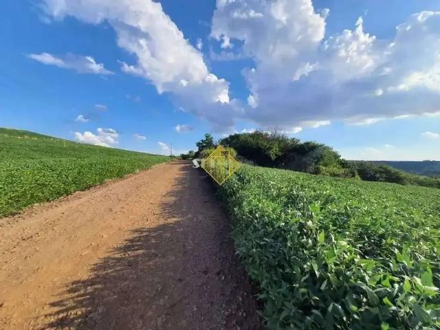 Sítio / Chácara para Venda em Maringá/PR Parque Industrial I