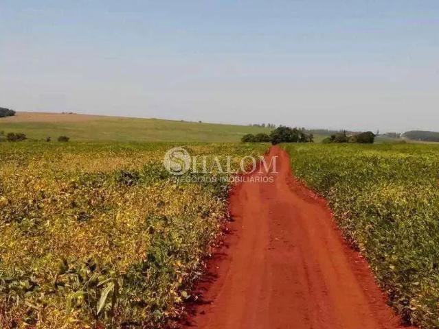 Sítio / Chácara para Venda em Maringá/PR Zona 03 1 Quartos