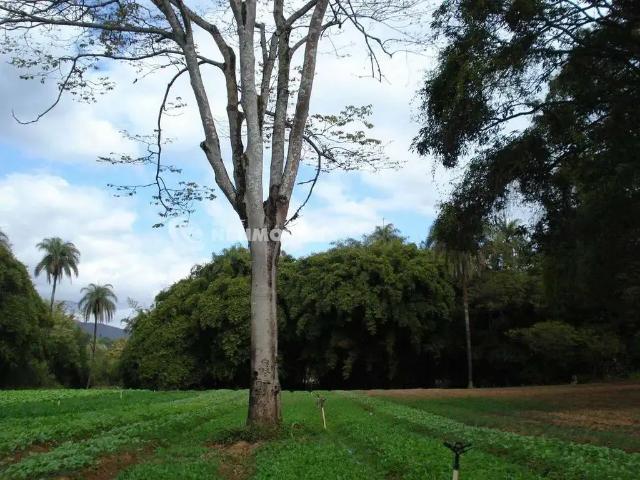 Sítio / Chácara para Venda em Mário Campos/MG Campo Verde 1 Quartos