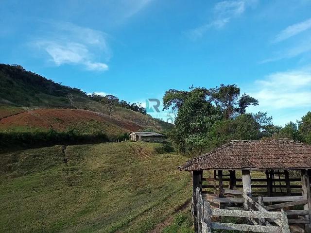 Sítio / Chácara para Venda em Maria da Fé/MG Pelado