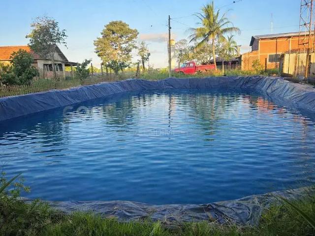 Sítio / Chácara para Venda em Marialva/PR Zona Rural 3 Quartos