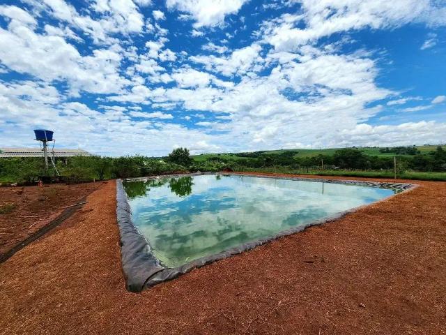 Sítio / Chácara para Venda em Marialva/PR Zona Rural 3 Quartos