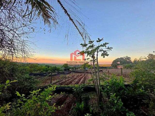 Sítio / Chácara para Venda em Marialva/PR Zona Rural 4 Quartos