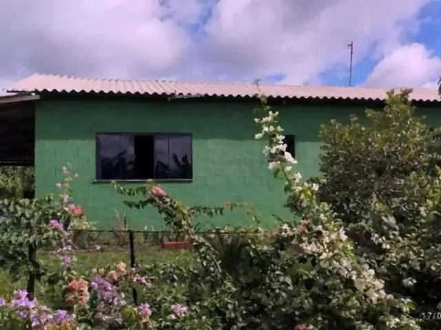 Sítio / Chácara para Venda em Marialva/PR Zona Rural