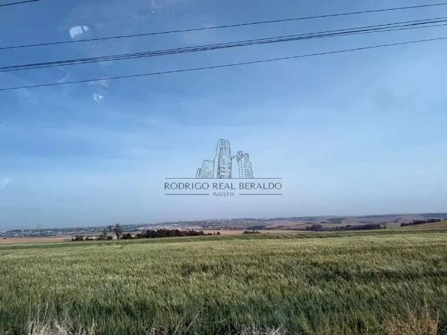 Sítio / Chácara para Venda em Marialva/PR Área Rural