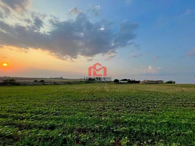 Sítio / Chácara para Venda em Marialva/PR Zona Rural