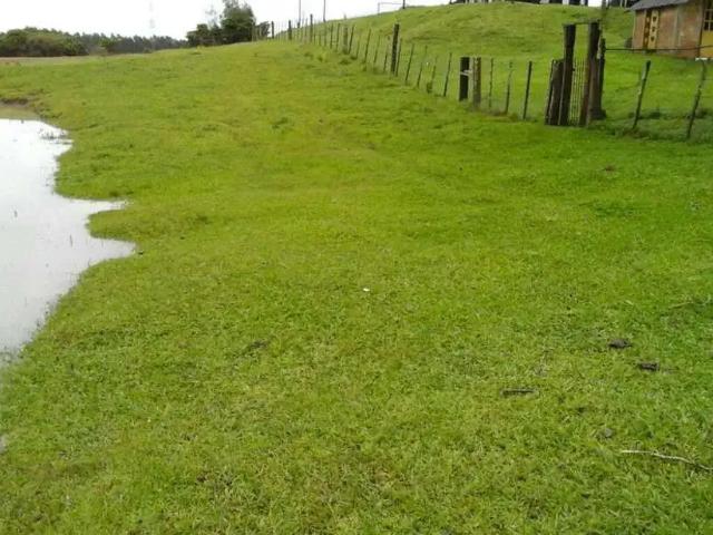 Sítio / Chácara para Venda em Mariana Pimentel/RS Zona Rural