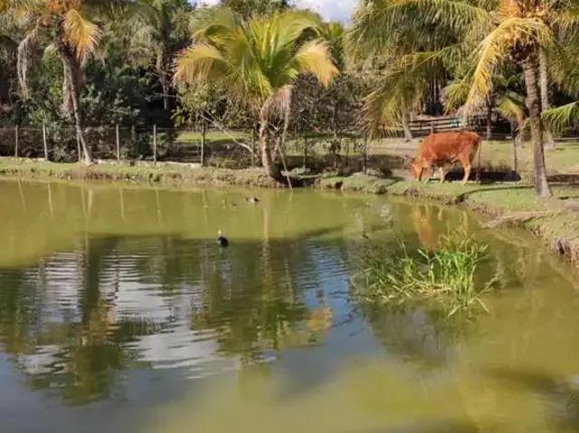 Sítio / Chácara para Venda em Maricá/RJ Caxito 3 Quartos