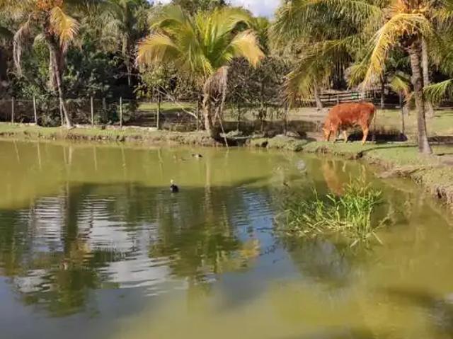 Sítio / Chácara para Venda em Maricá/RJ Caxito 3 Quartos