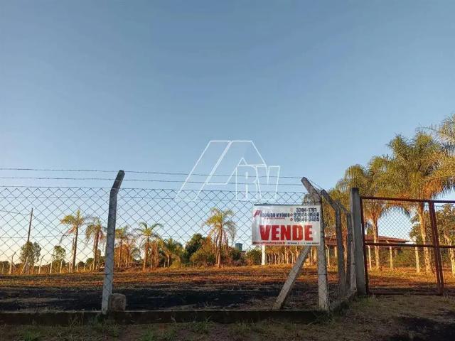 Sítio / Chácara para Venda em Marília/SP Marília