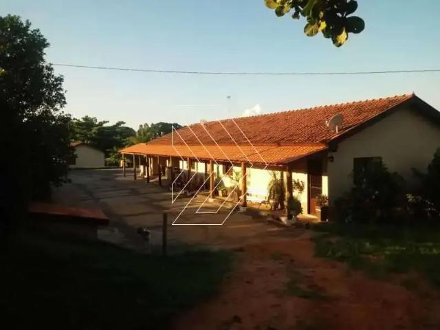 Sítio / Chácara para Venda em Marília/SP Altaneira 4 Quartos
