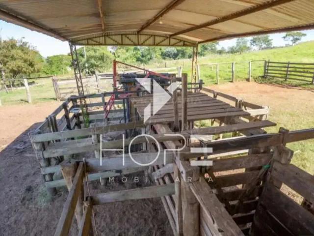 Sítio / Chácara para Venda em Marília/SP Área Rural de Marília