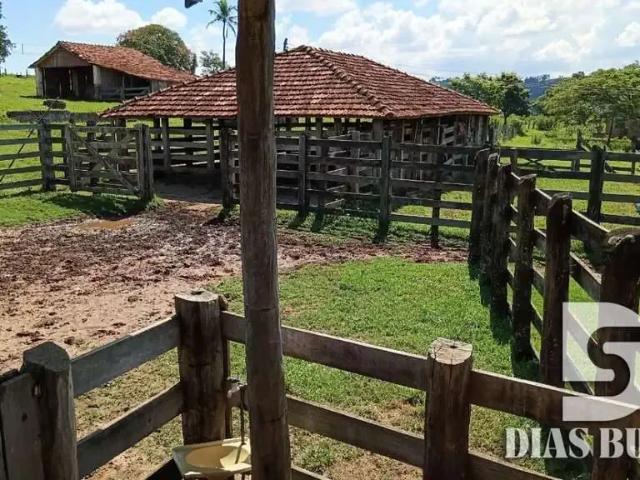 Sítio / Chácara para Venda em Marília/SP Área Rural de Marília 4 Quartos