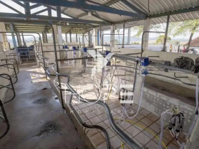 Sítio / Chácara para Venda em Marília/SP Área Rural de Marília