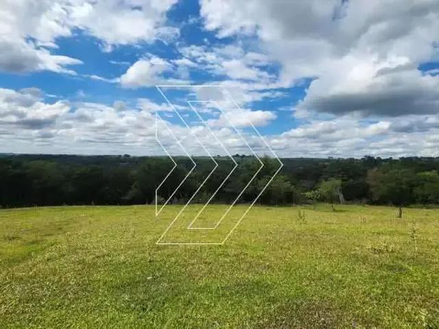 Sítio / Chácara para Venda em Marília/SP Área Rural de Marília