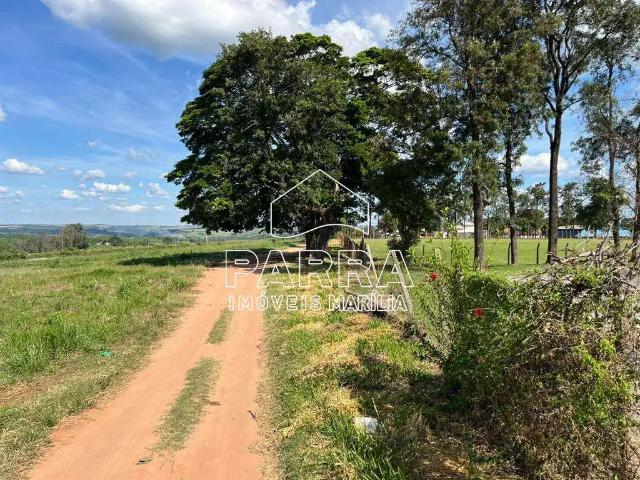 Sítio / Chácara para Venda em Marília/SP Área Rural de Marília 1 Quartos