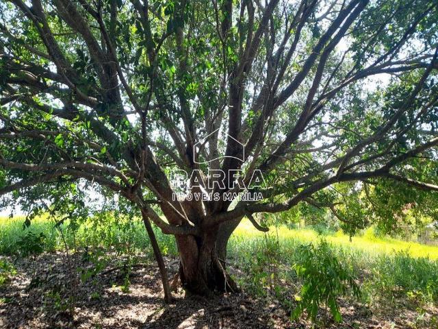 Sítio / Chácara para Venda em Marília/SP Área Rural de Marília 1 Quartos