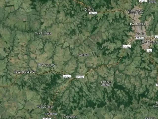 Sítio / Chácara para Venda em Marília/SP Área Rural de Marília
