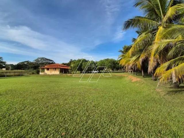 Sítio / Chácara para Venda em Marília/SP Área Rural de Marília 2 Quartos
