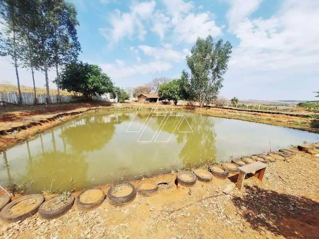Sítio / Chácara para Venda em Marília/SP Área Rural de Marília 2 Quartos