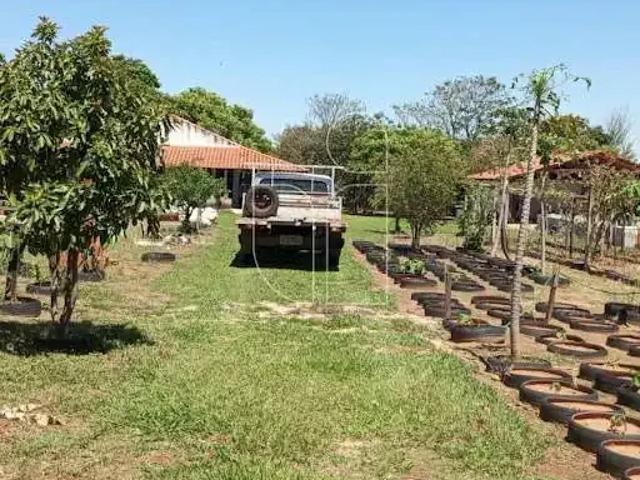 Sítio / Chácara para Venda em Marília/SP Área Rural de Marília 3 Quartos