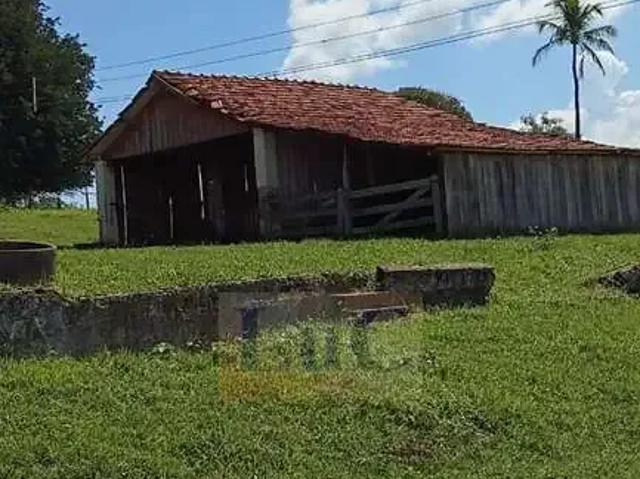 Sítio / Chácara para Venda em Marília/SP Centro