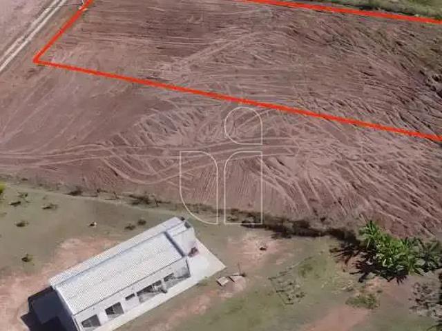 Sítio / Chácara para Venda em Marília/SP Centro Lácio