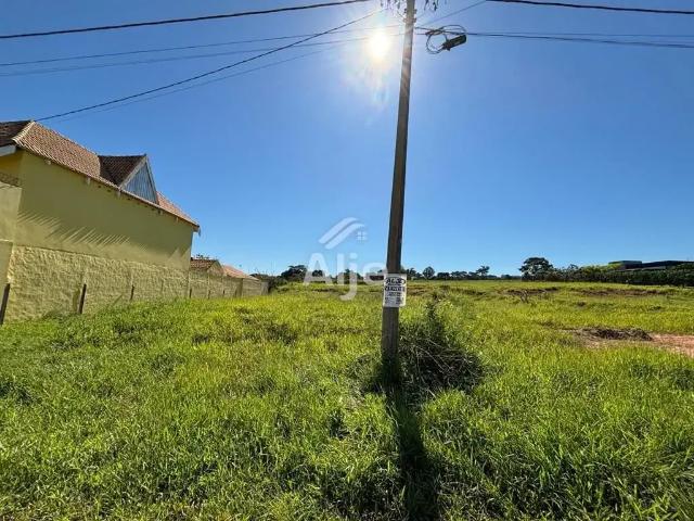 Sítio / Chácara para Venda em Marília/SP Chácara de Recreio Letícia II Padre Nóbrega