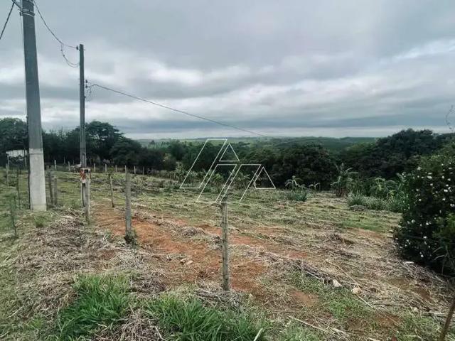 Sítio / Chácara para Venda em Marília/SP Conjunto Residencial Luiz Egydio de Cerqueira César