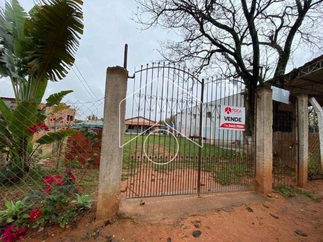 Sítio / Chácara para Venda em Marília/SP Dirceu Distrito de Marilia 3 Quartos