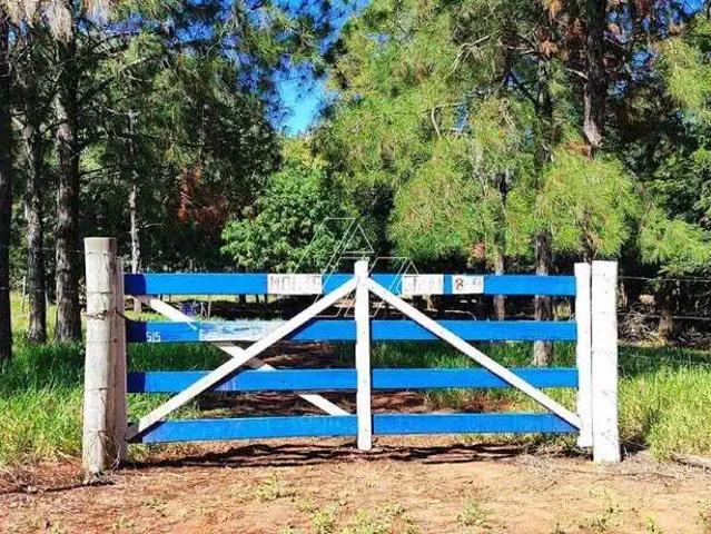 Sítio / Chácara para Venda em Marília/SP Dirceu Distrito de Marilia