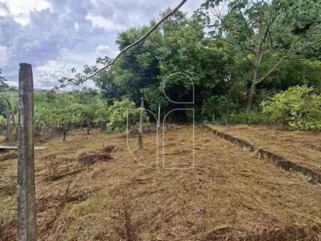 Sítio / Chácara para Venda em Marília/SP Jardim Edisom da Silva Lima