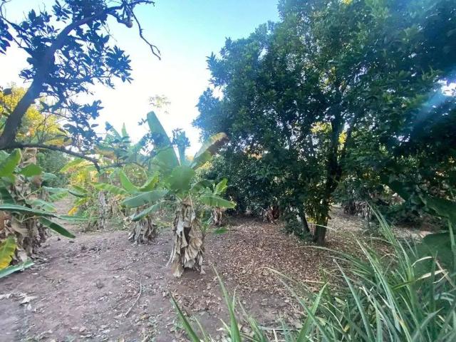 Sítio / Chácara para Venda em Marília/SP Jardim Florença 1 Quartos