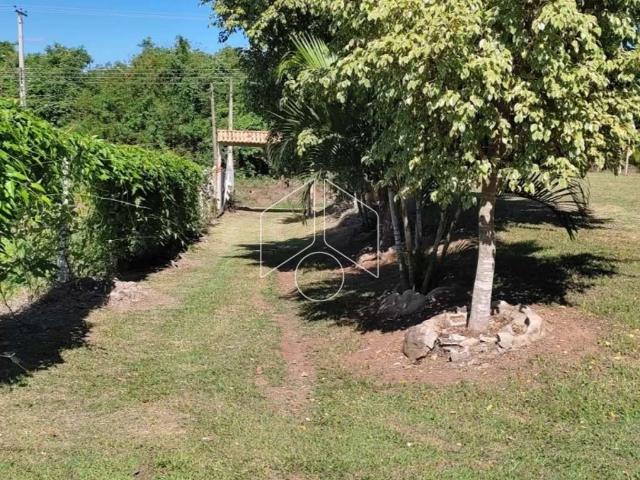 Sítio / Chácara para Venda em Marília/SP Jardim Florença 1 Quartos