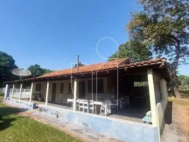 Sítio / Chácara para Venda em Marília/SP Padre Nóbrega 3 Quartos