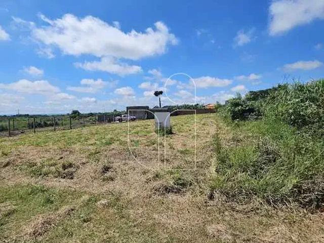 Sítio / Chácara para Venda em Marília/SP Padre Nóbrega