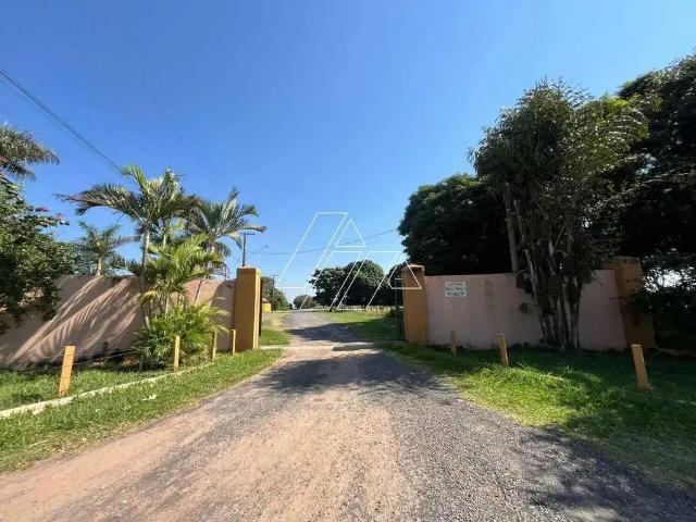 Sítio / Chácara para Venda em Marília/SP Sítios de Recreio Letícia Padre Nóbrega 3 Quartos
